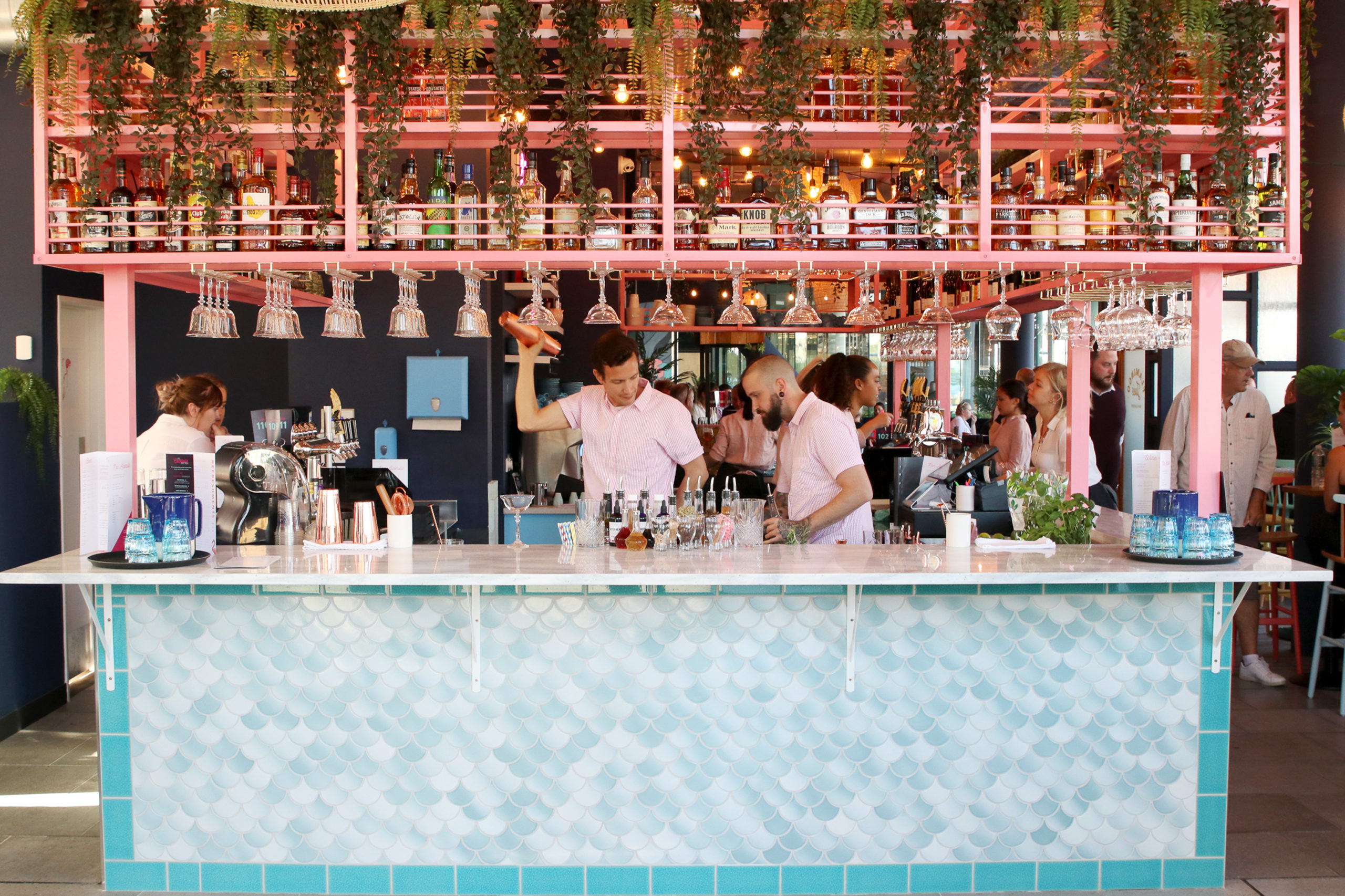 Flamingo Joe's - My Function