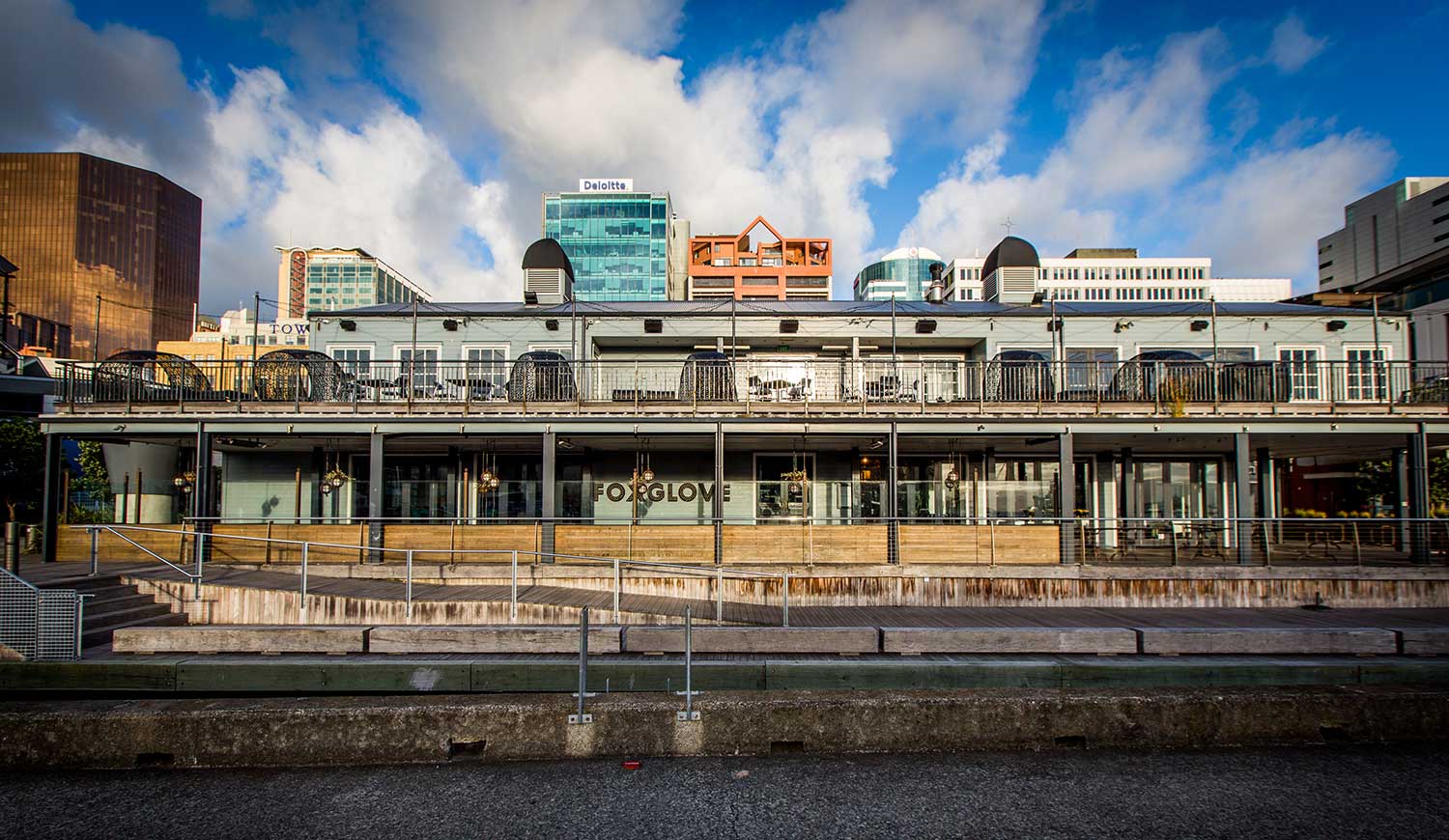 Foxglove - My Function